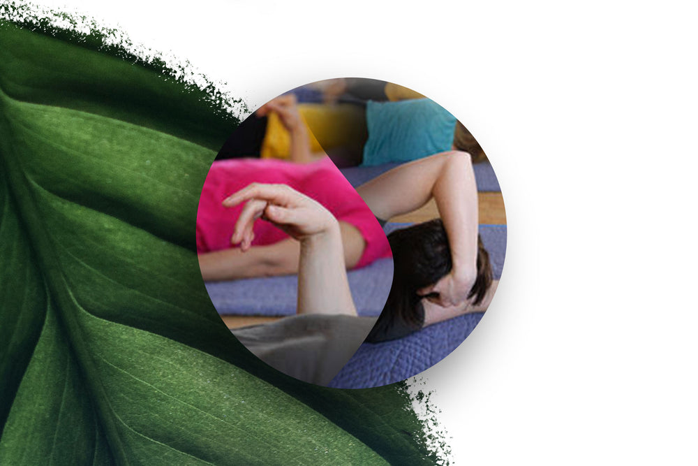 Practitioner Resources - Feldenkrais Resources